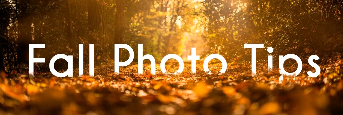 Tips on Taking Fall Photos – PictureKeeper.com